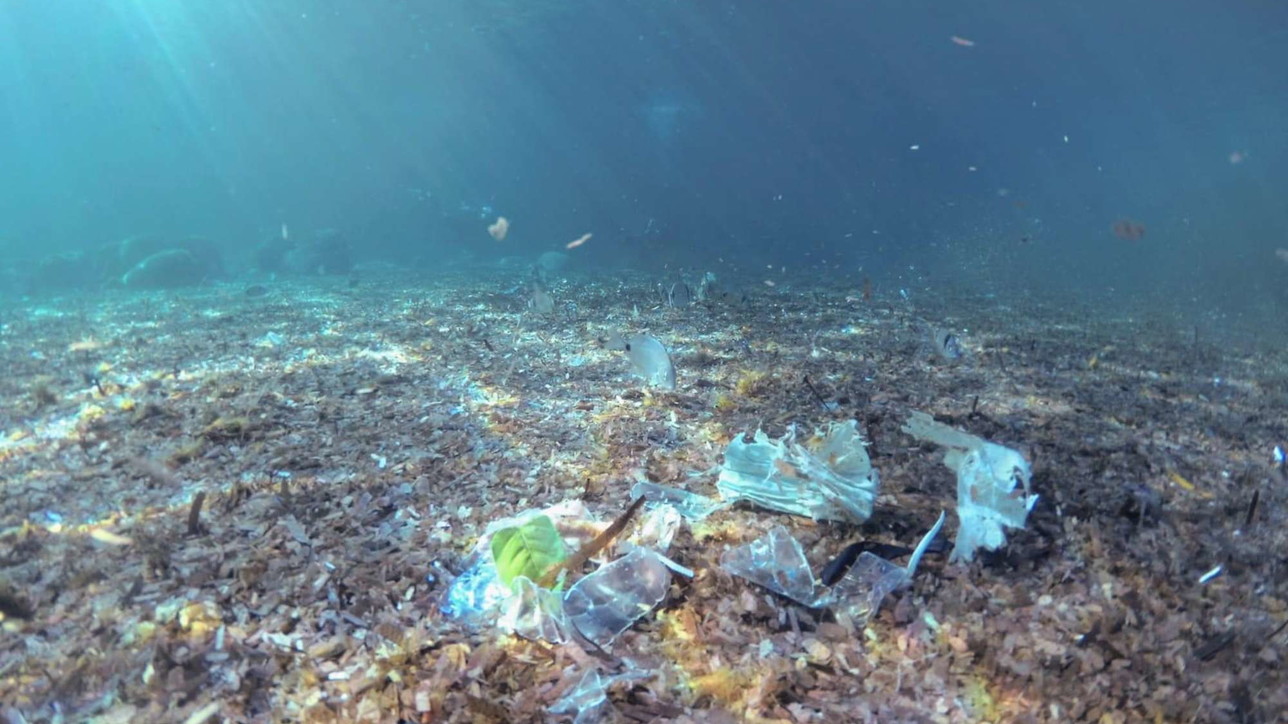Discariche di rifiuti sui fondali dei mari italiani: il 77% è plastica - Tgcom24