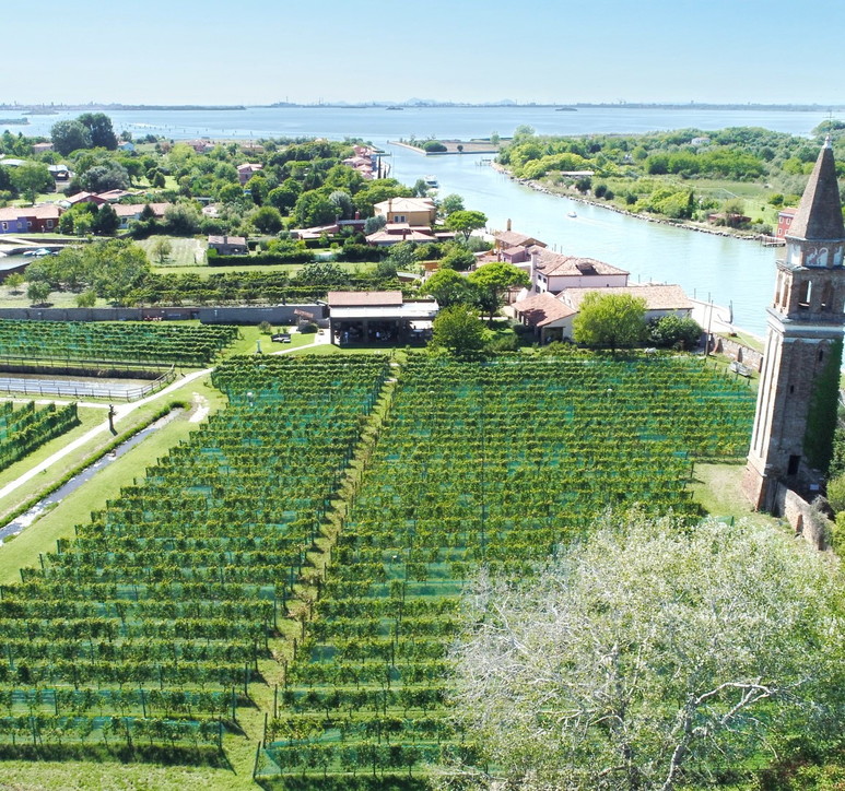 Donnavventura: l'arte del vetro di Murano e la Tenuta Venissa