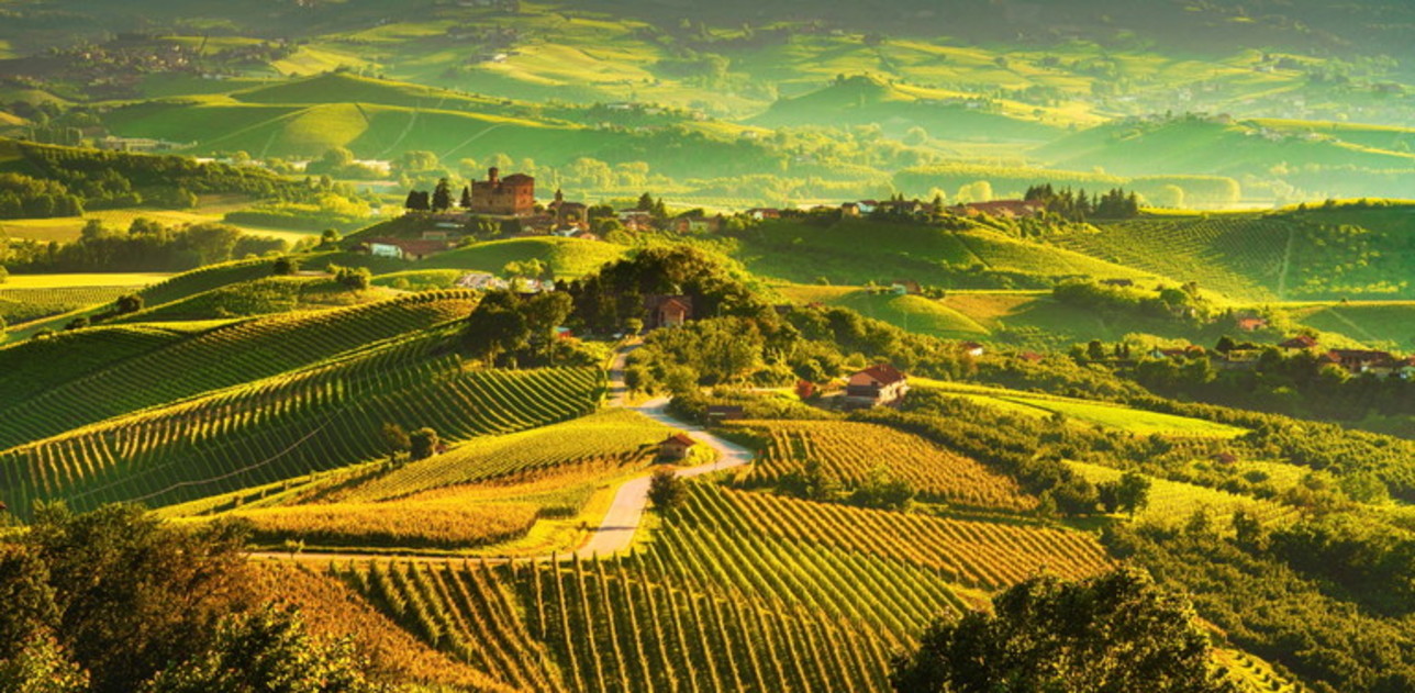 Viaggio nelle Langhe: l'autunno che scalda