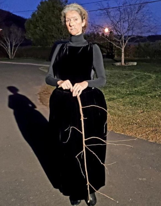 Jennifer Lopez diventa Madonna, Lizzo la mosca sulla testa di Pence ...