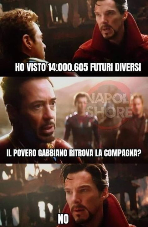 "Povero gabbiano", i meme che girano sui social