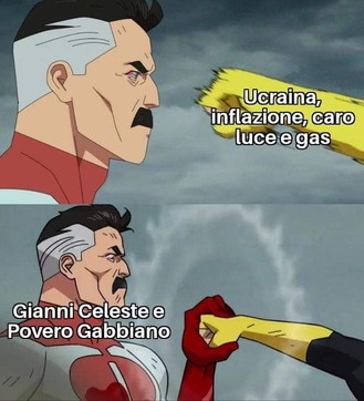 "Povero gabbiano", i meme che girano sui social
