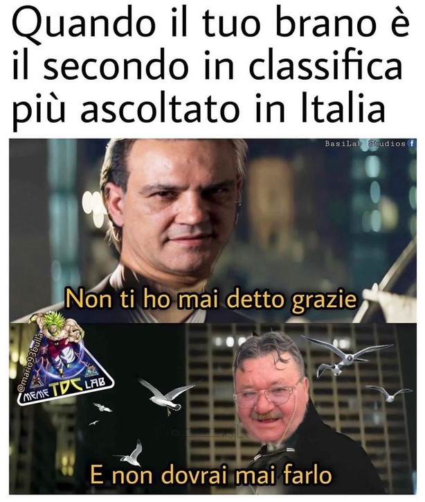 "Povero gabbiano", i meme che girano sui social