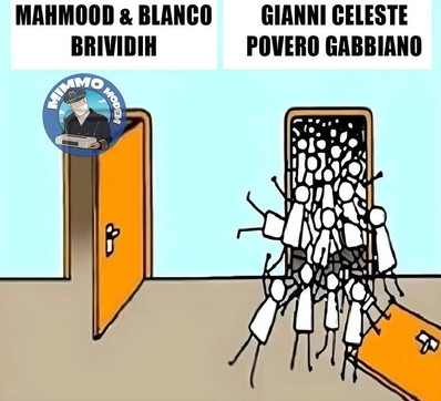 "Povero gabbiano", i meme che girano sui social