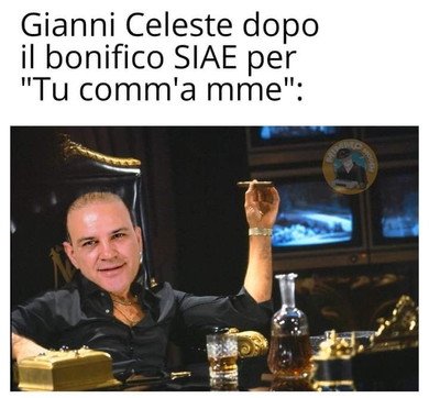 "Povero gabbiano", i meme che girano sui social