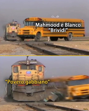"Povero gabbiano", i meme che girano sui social