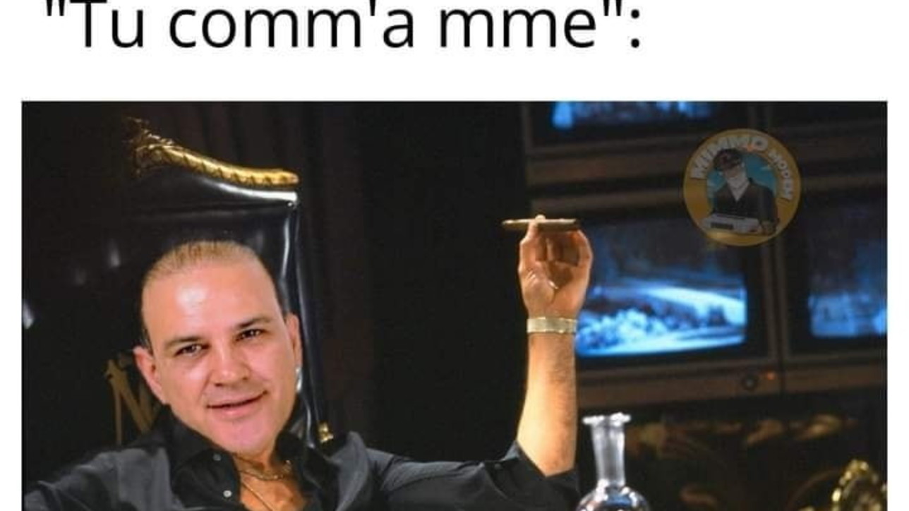 "Povero gabbiano", i meme che girano sui social