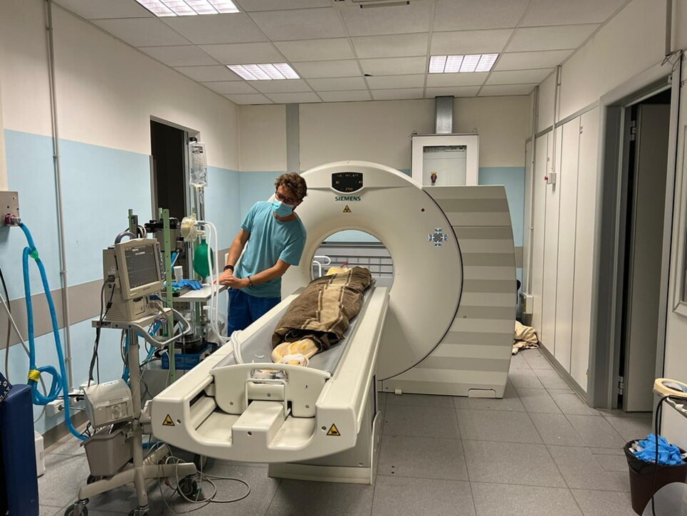 Anche i serpenti... vanno dal dottore: ecco il pitone Pippo sottoposto ...