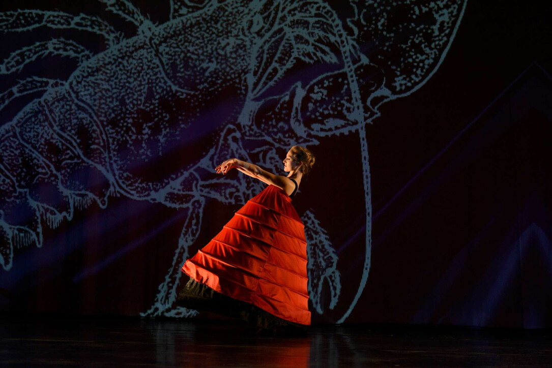 I Momix presentano “Alice”, le immagini dello spettacolo