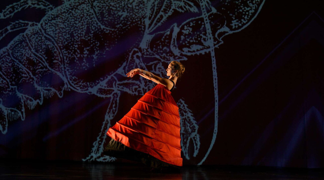 I Momix presentano “Alice”, le immagini dello spettacolo