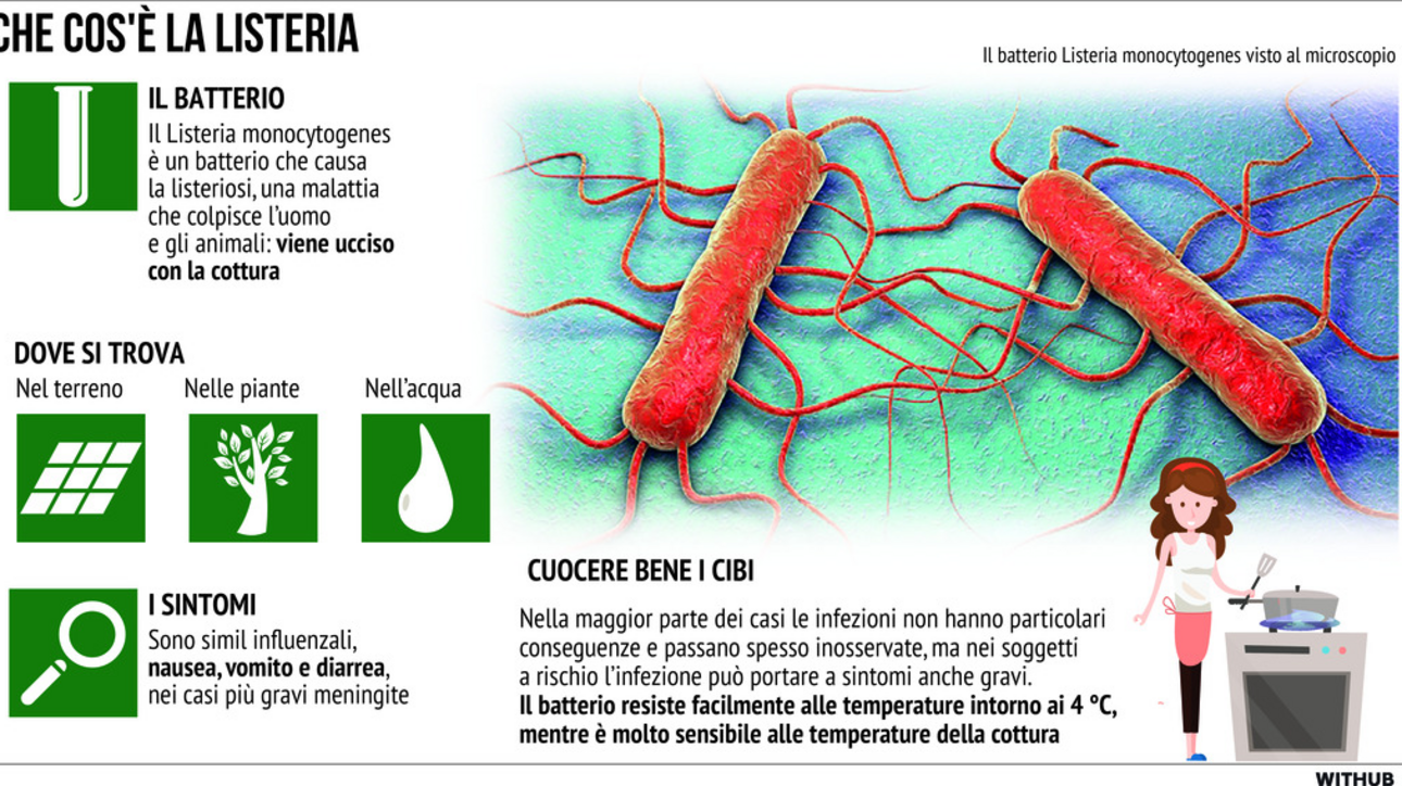 Che cos'è la Listeria