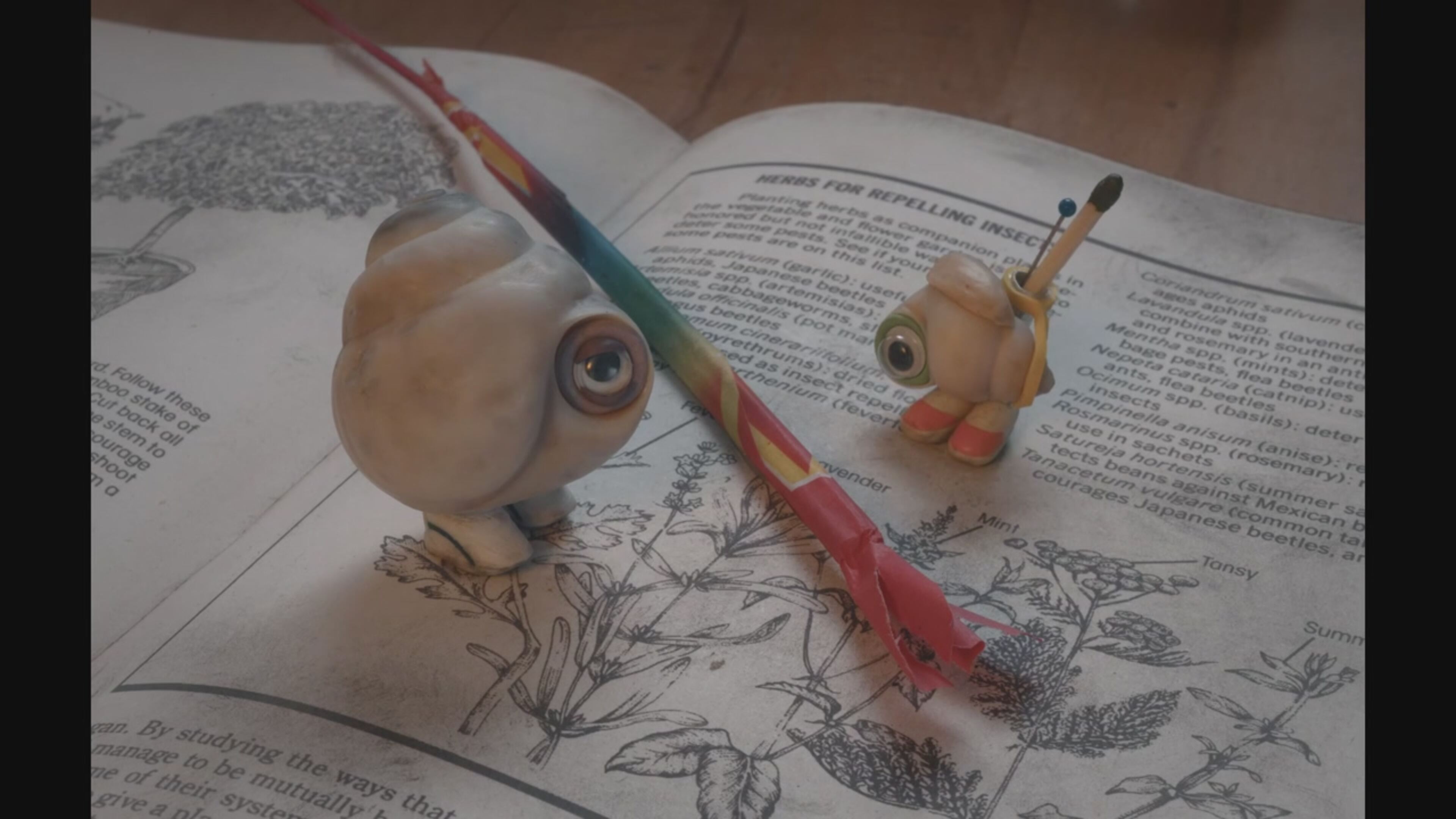 "Marcel the Shell", guarda in anteprima una scena del film in stop-motion