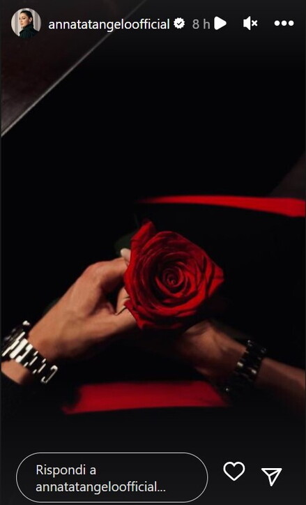 Da Alessia Marcuzzi a Anna Tatangelo, il grande amore non ha età