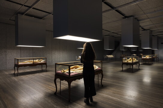 Fotogallery - Fondazione Prada ospita le cere anatomiche del Museo La ...