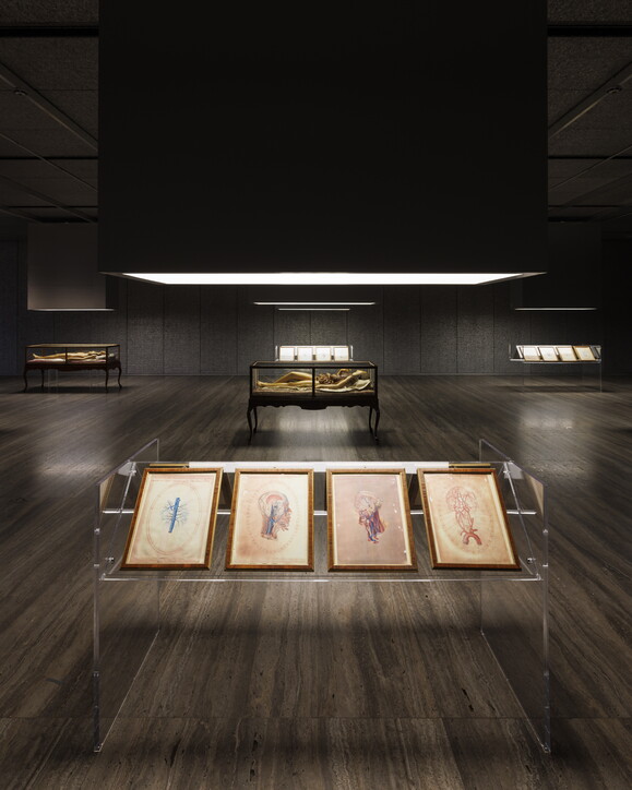 Fotogallery - Fondazione Prada ospita le cere anatomiche del Museo La ...