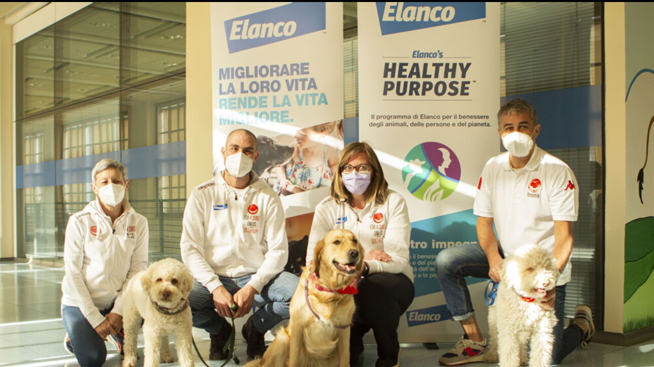 Il progetto "Basta una zampa" di For a Smile Onlus torna alla Dental ...
