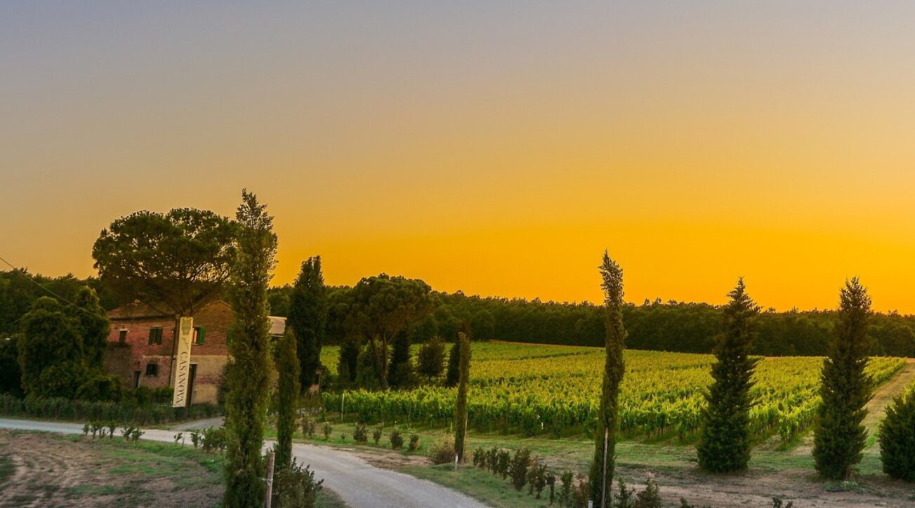 Vacanze green nella quiete della più bella campagna italiana