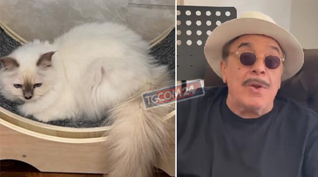 Nino Frassica perde il gatto a Spoleto e lancia un appello social