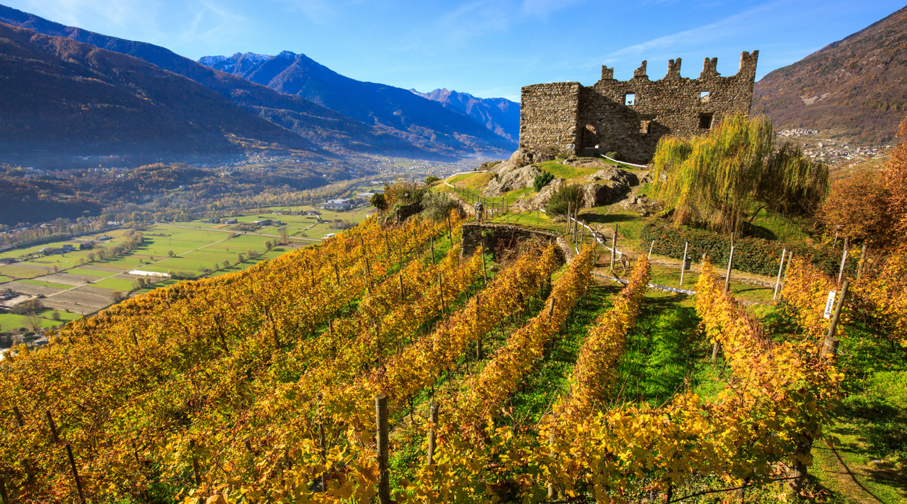 Valtellina: imperdibili esperienze tra i vitigni "eroici"