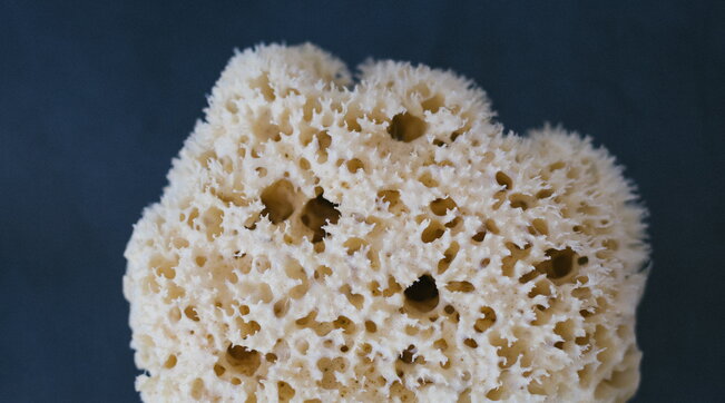 Una spugna che assorbe microplastiche