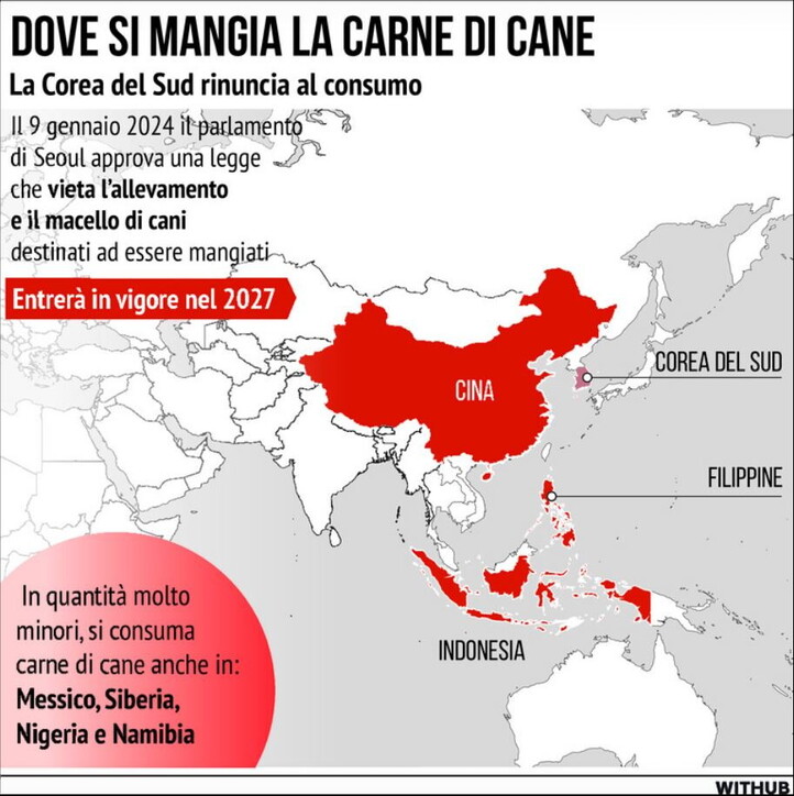 Dove si mangia la carne di cane nel mondo